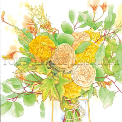 asterisk-discovery | トルコキキョウ